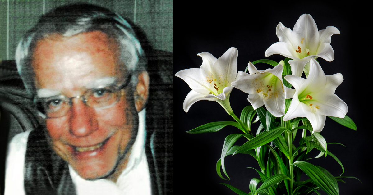Louis Handziak, 89, of Racine - obituary