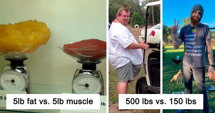 49 interesting comparison images to give you a new perspective on things
