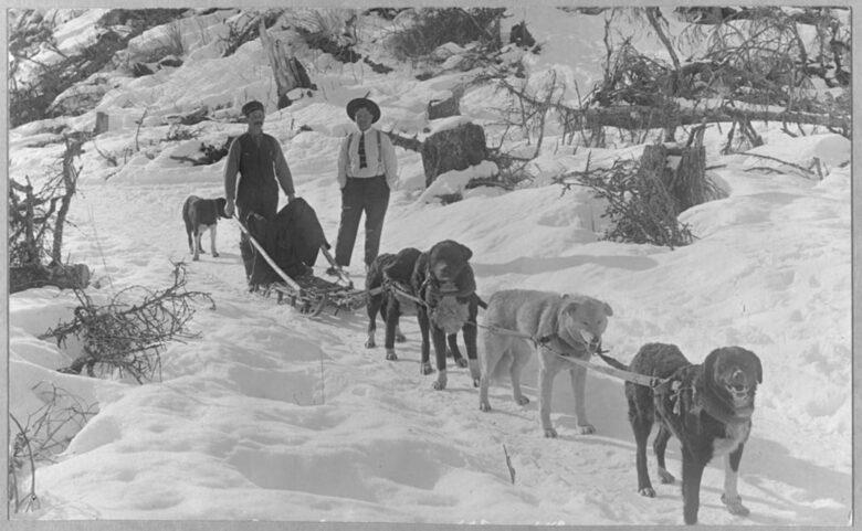 Retro photos of dog sledding from simpler times