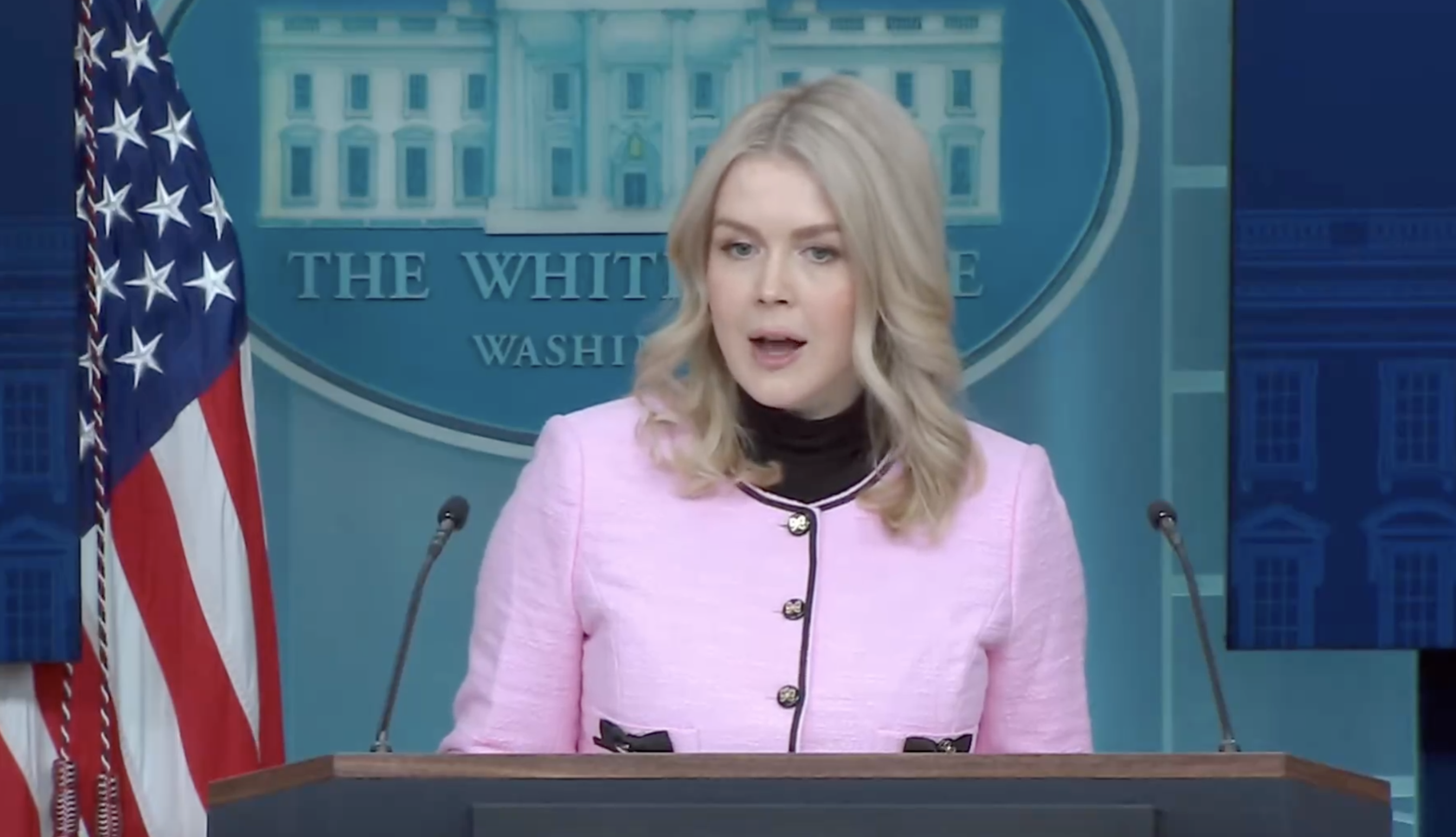 'The hypocrisy is really astounding': Karoline Leavitt puts her ...