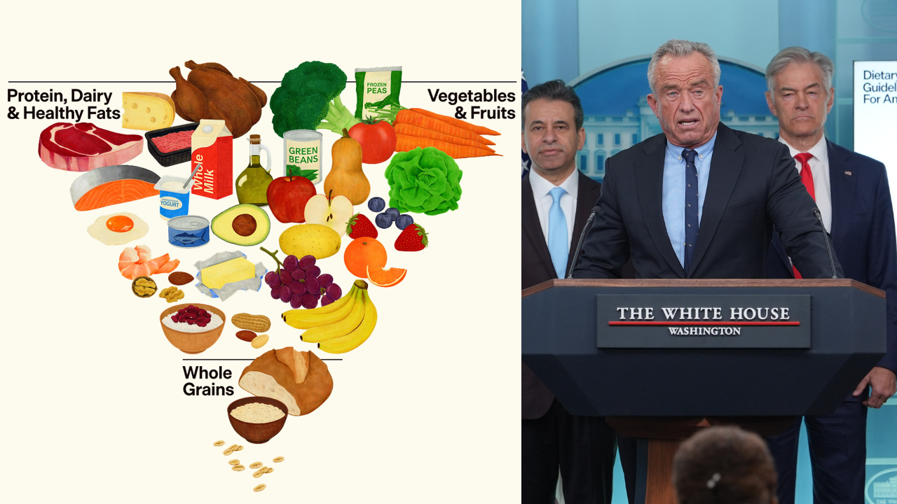 New food pyramid 2026: How is 'MAHA' dietary guidelines for Americans ...