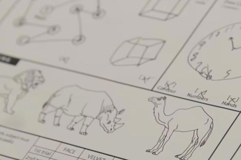 Gavin Newsom asks Trump for 'time and place' as he poses cognitive test ...