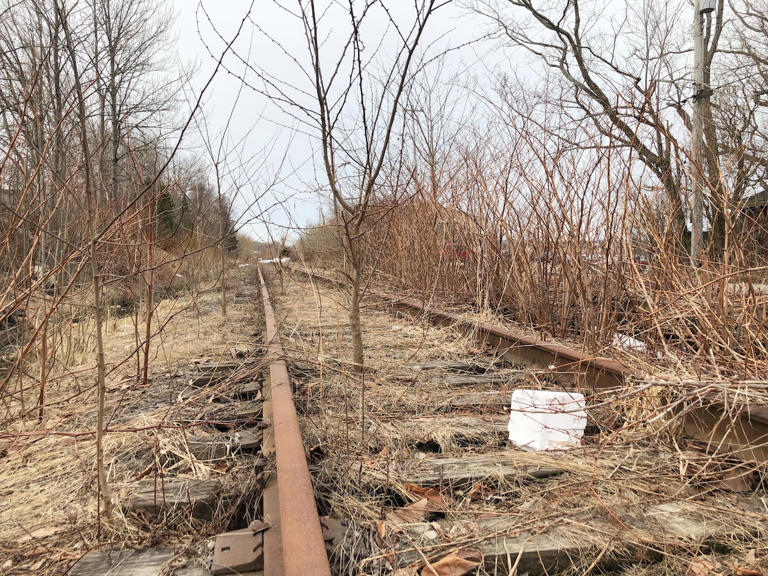 Politicians say long-dormant Cape Breton rail line could be revitalized ...