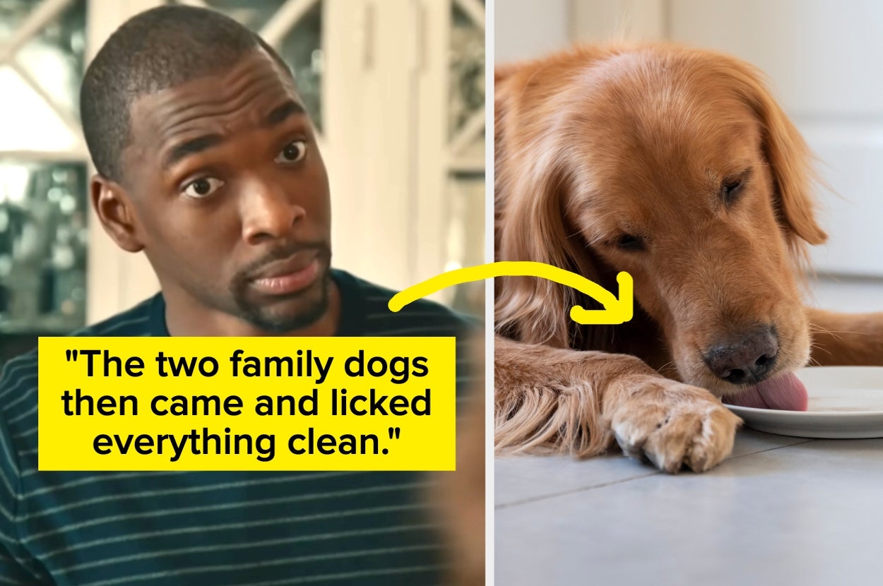 17 truly peculiar house rules that really, really, really caught guests ...