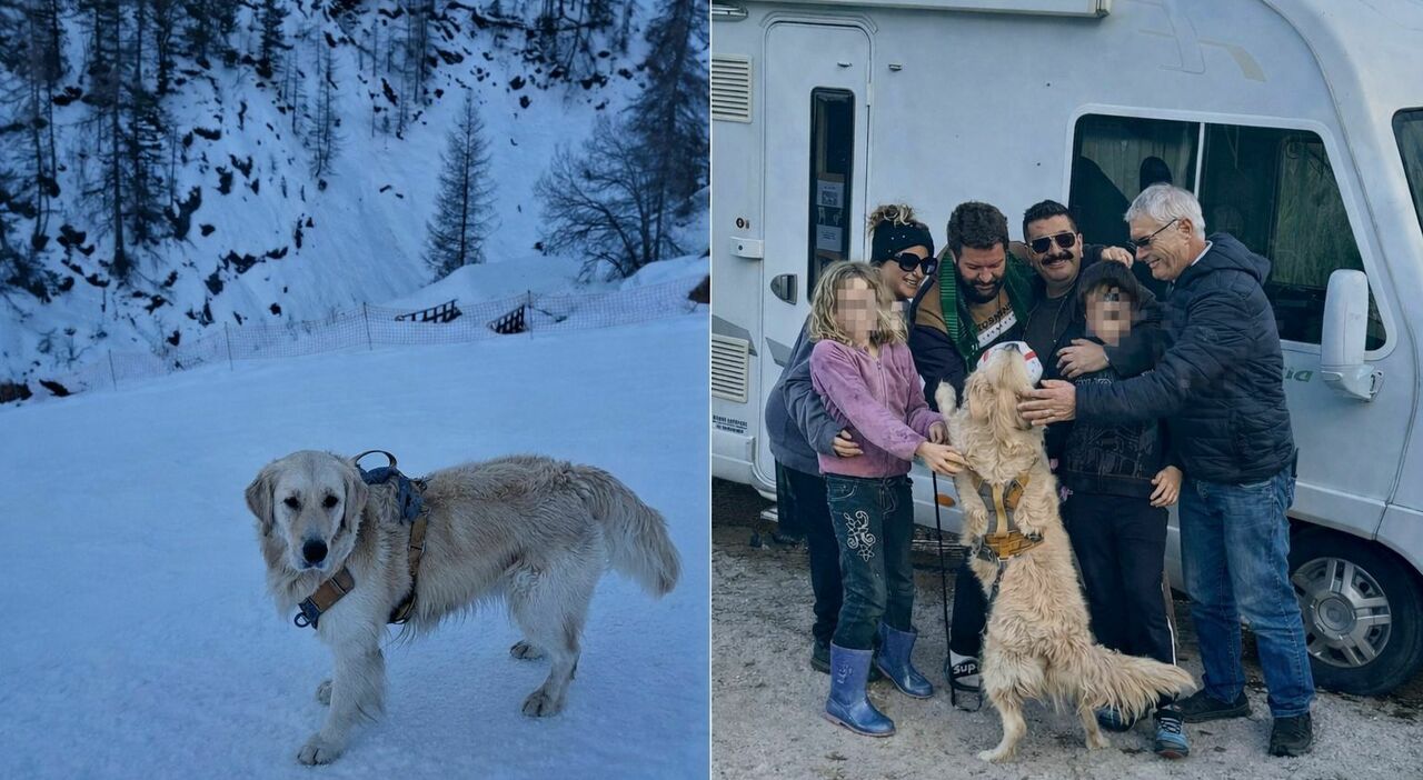 Ritrovato il cane fuggito dai botti di Capodanno a Castro dei Volsci ...