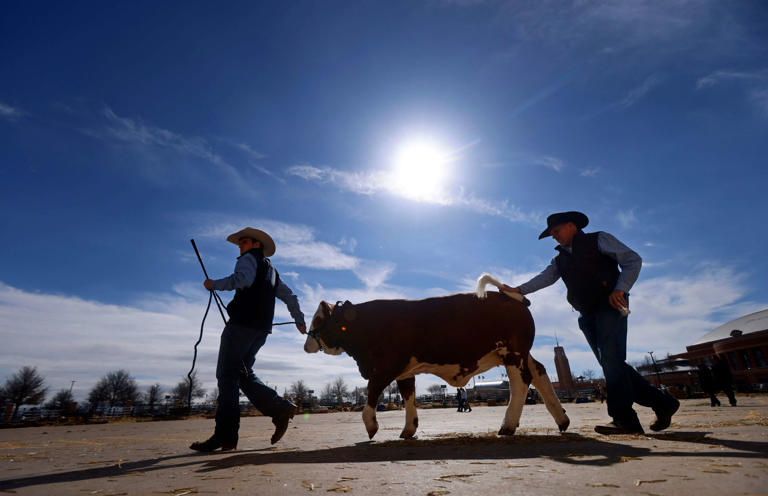 What to know about the 2026 Fort Worth Stock Show and Rodeo