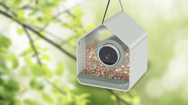 Birdbuddy reveals a new mini flagship bird feeder camera that can ...