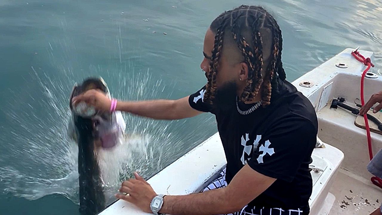 Wait for it: Tarpon gives first-time feeder a nasty shock