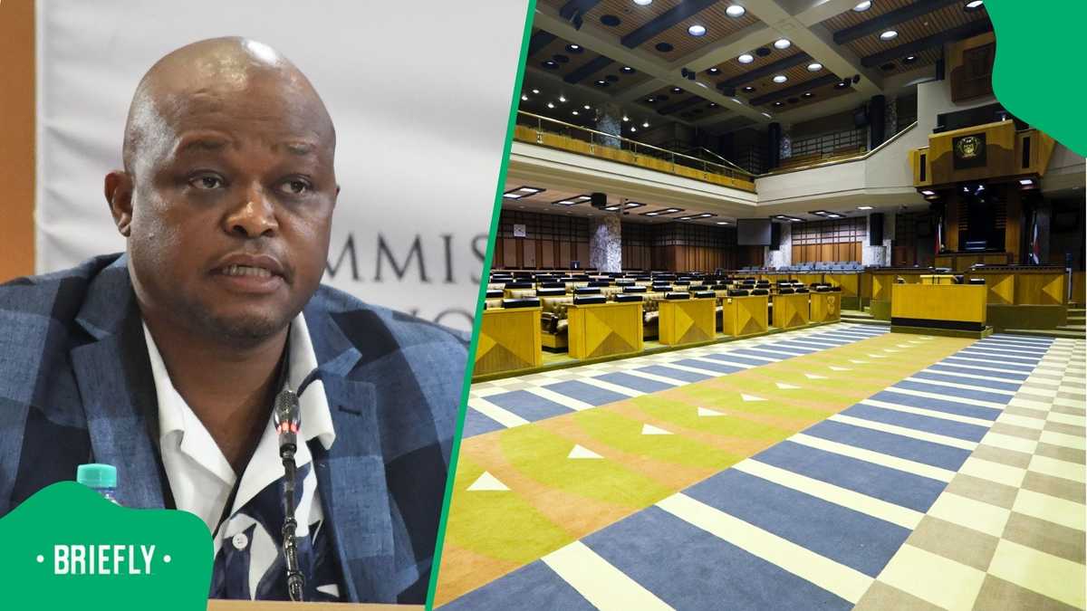 Ad hoc committee: Brown Mogotsi terrified, opts to testify virtually