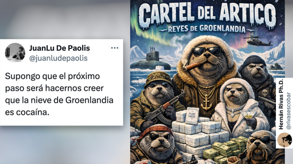 Las focas de Groenlandia están inundando USA de coca y fentanilo: los ...