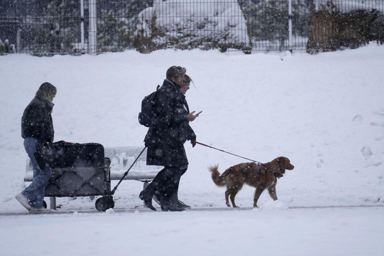 Exact days snow is set to return to Birmingham in January - full West ...