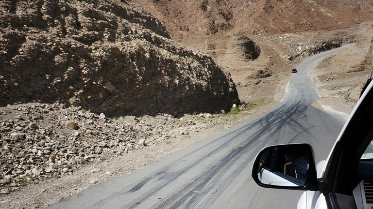 Phantom predator emerges from extinction shadow as it’s captured by ...