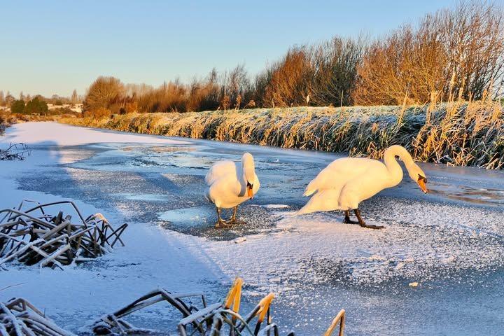 The exact time the Met Office has issued a snow warning for ...