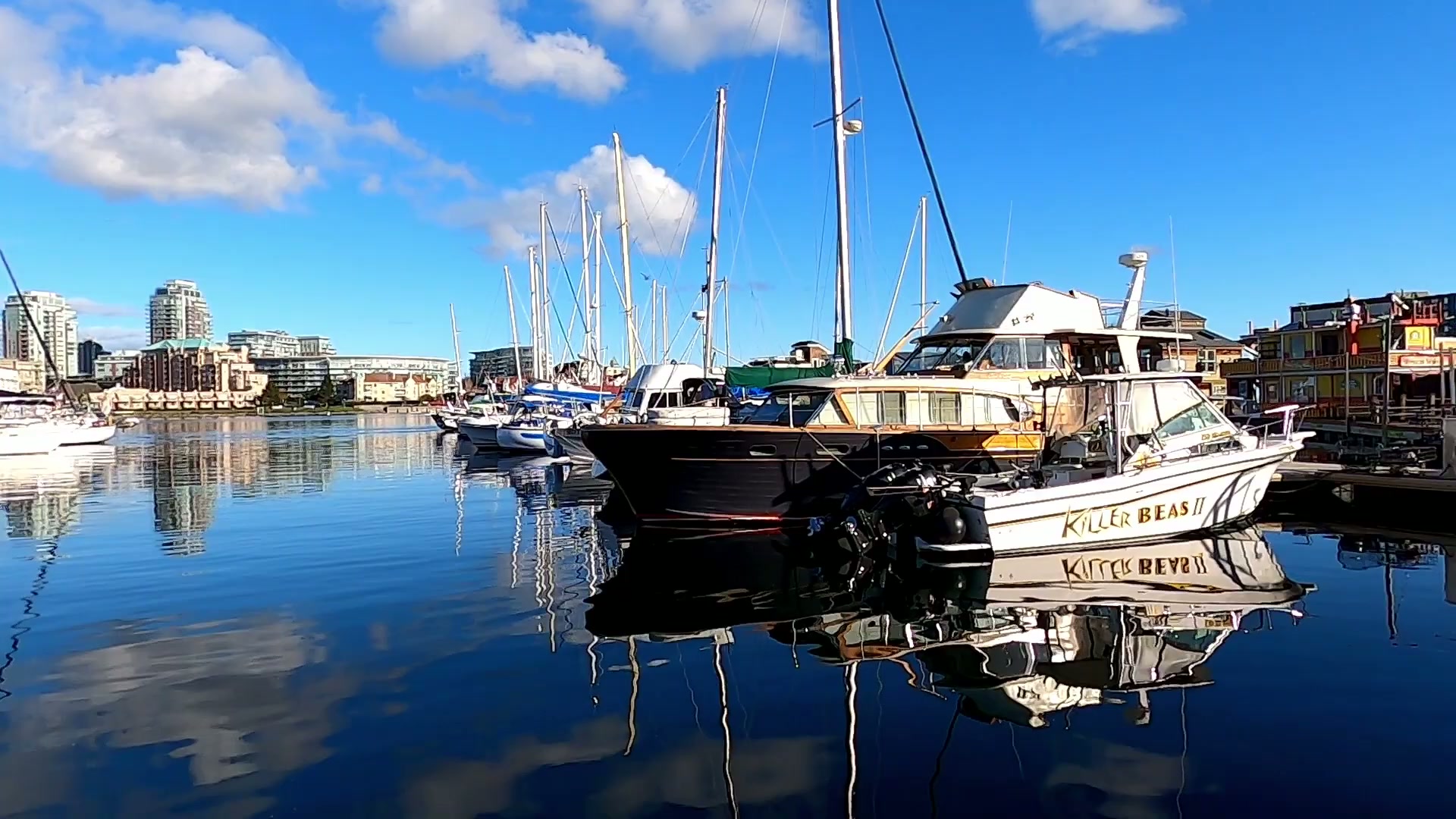 Discover Victoria BC’s hidden gems: Fisherman’s Wharf & Ogden Point tour!