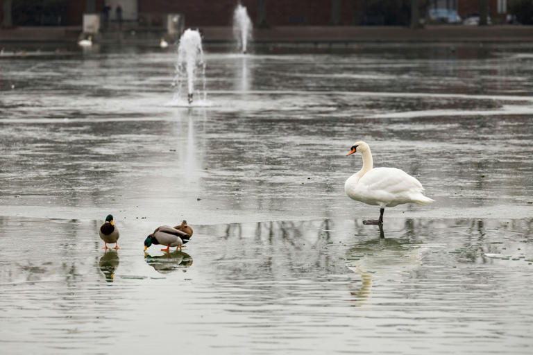 Eingebrochen: So befreit man sich und andere aus dem Eis