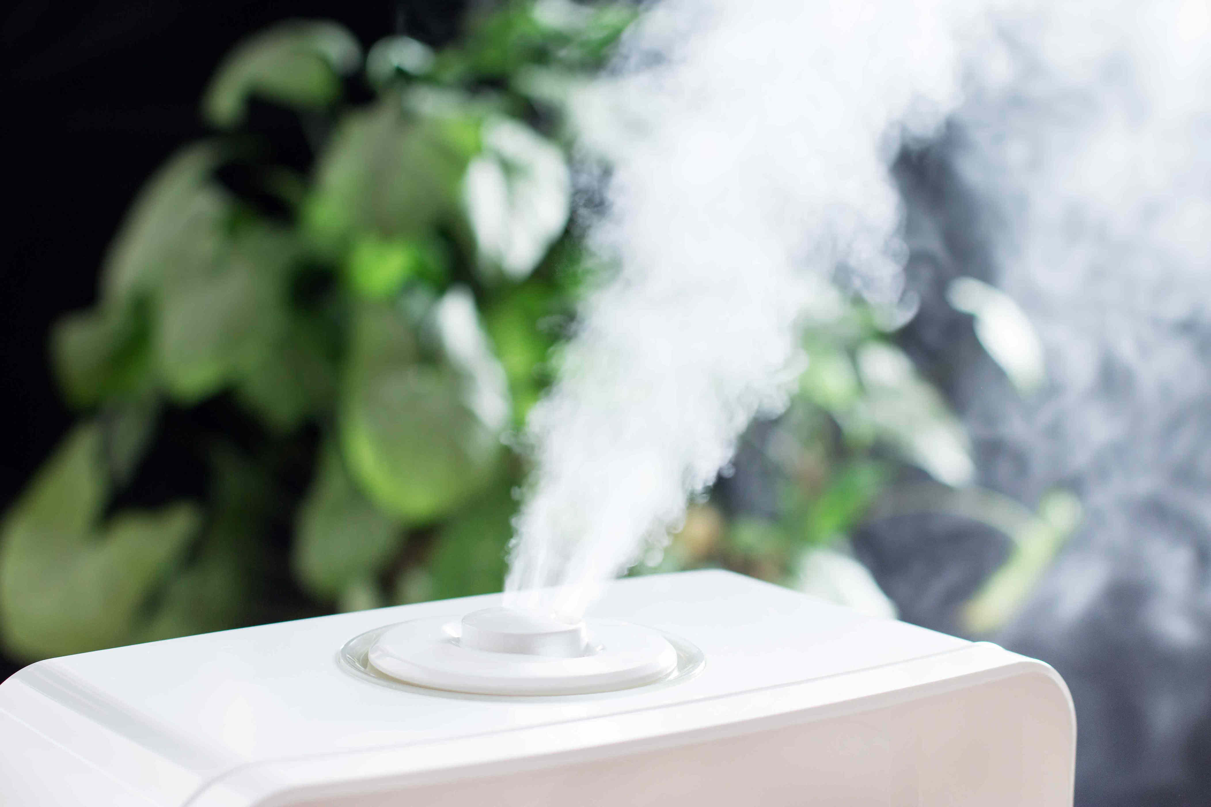 Experts reveal the best place to put a humidifier—and the most hazardous