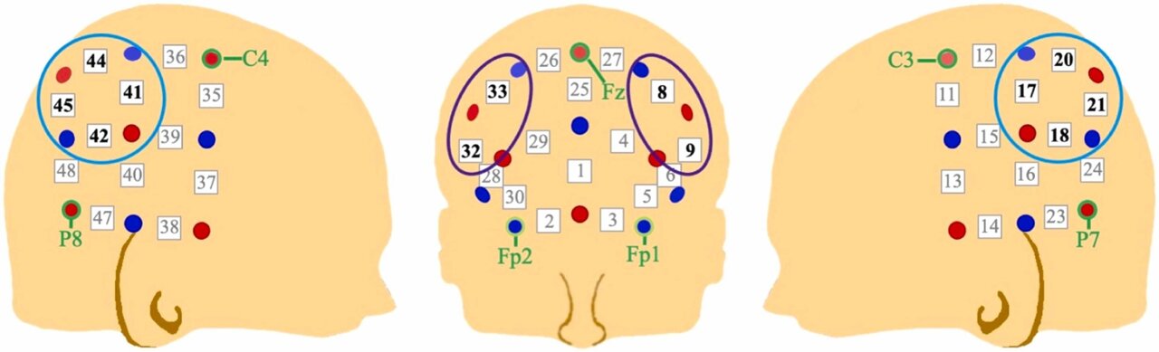 Research reveals how children's play links to social skills and brain ...