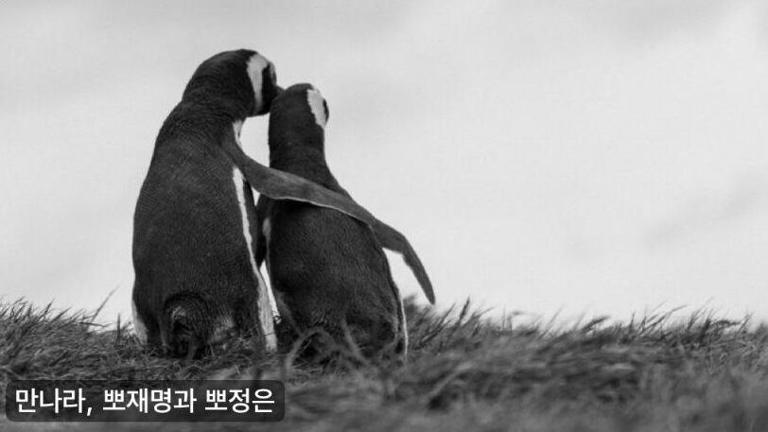 Lee Jae-myung urges dialogue, North Korea military parade