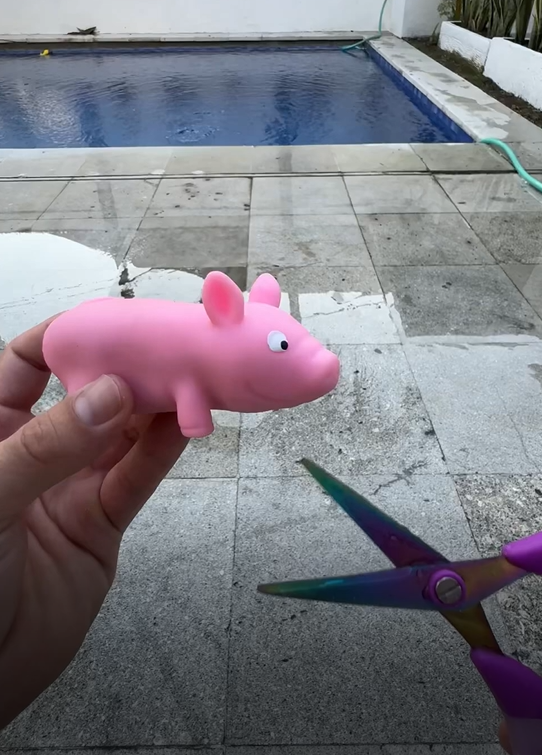 A pig flooded my garden and chaos followed