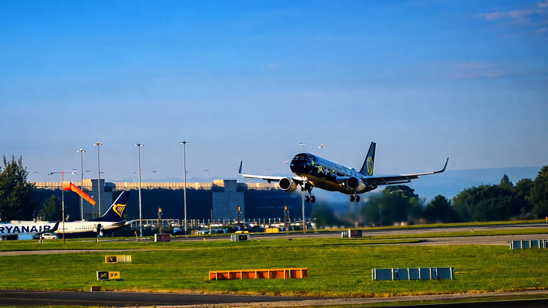 Airplane with custom livery performs quick landing