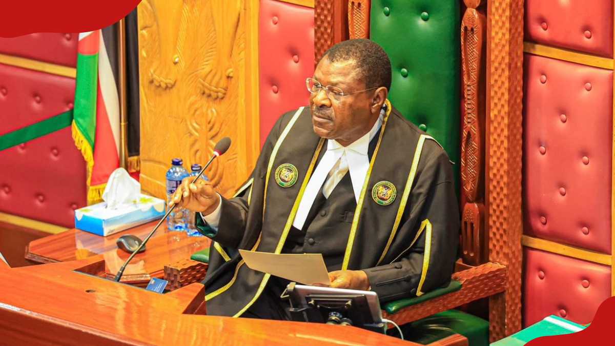 Denar Joseph Hamisi: Speaker Wetang'ula declares nominated MP's seat ...