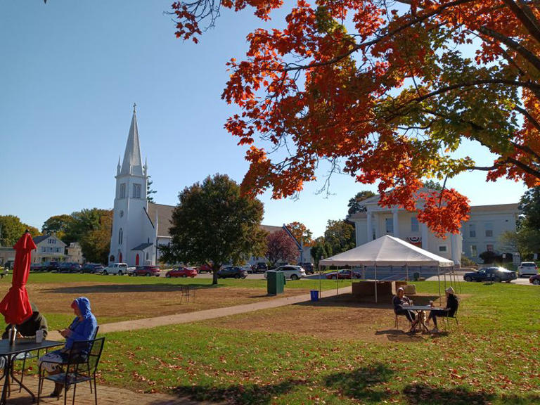 7 dog-friendly downtowns in Connecticut where you can walk, shop, and ...