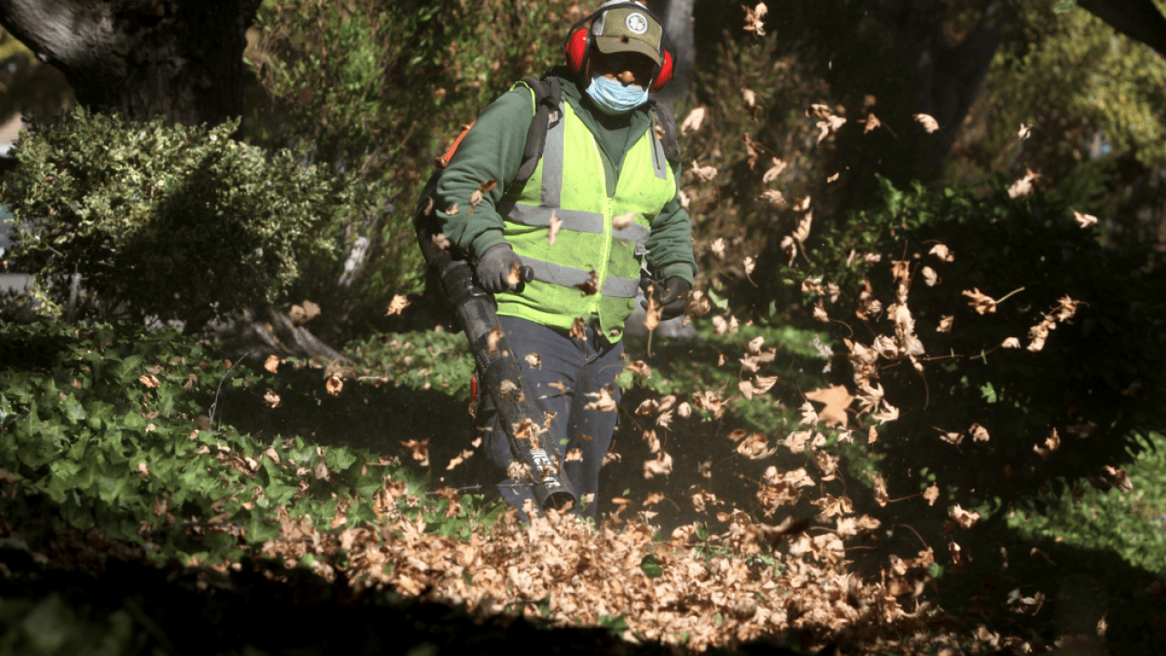 Everyone hates gas-powered leaf blowers. So why is it so hard to ban them?