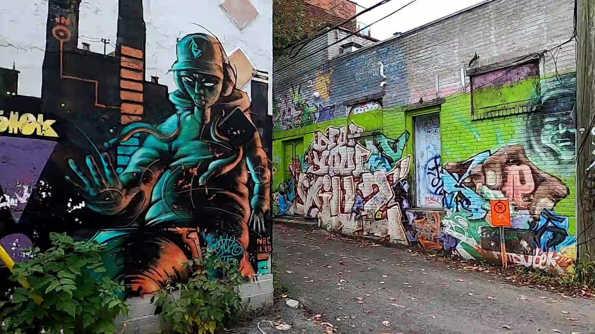 Exploring Montreal's vibrant street art: A colorful mural tour with Tom ...