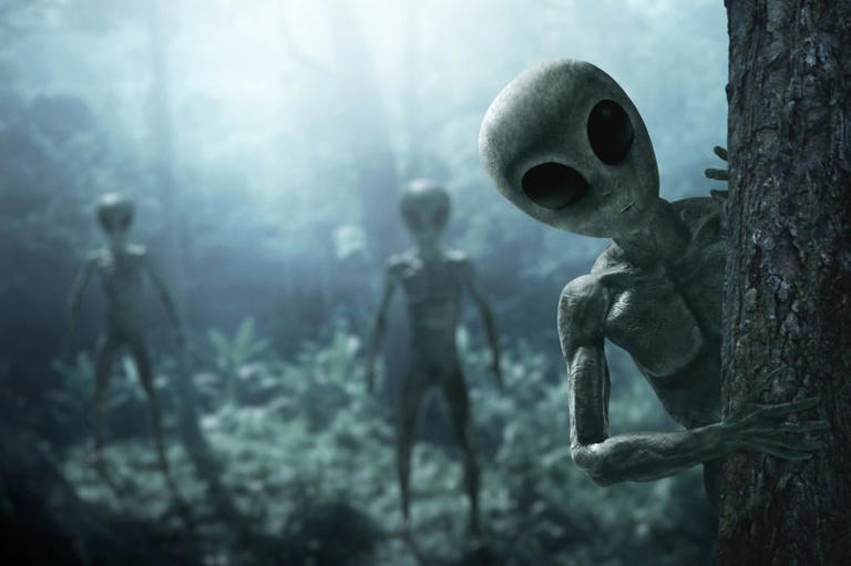 Aliens 'to invade Earth' as sightings soar and experts warn '2026 is ...