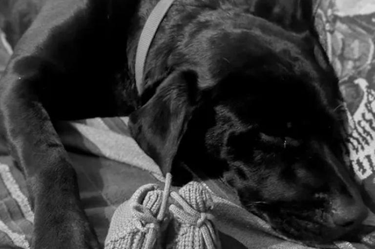 Emmerdale's Paula Lane welcomes baby boy with 'utterly in love' message