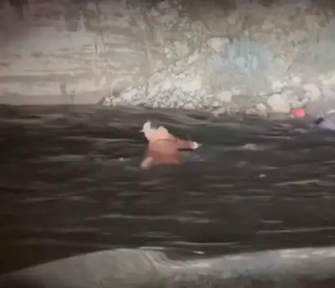 Watch: First responders perform swift water rescue, save two men and ...