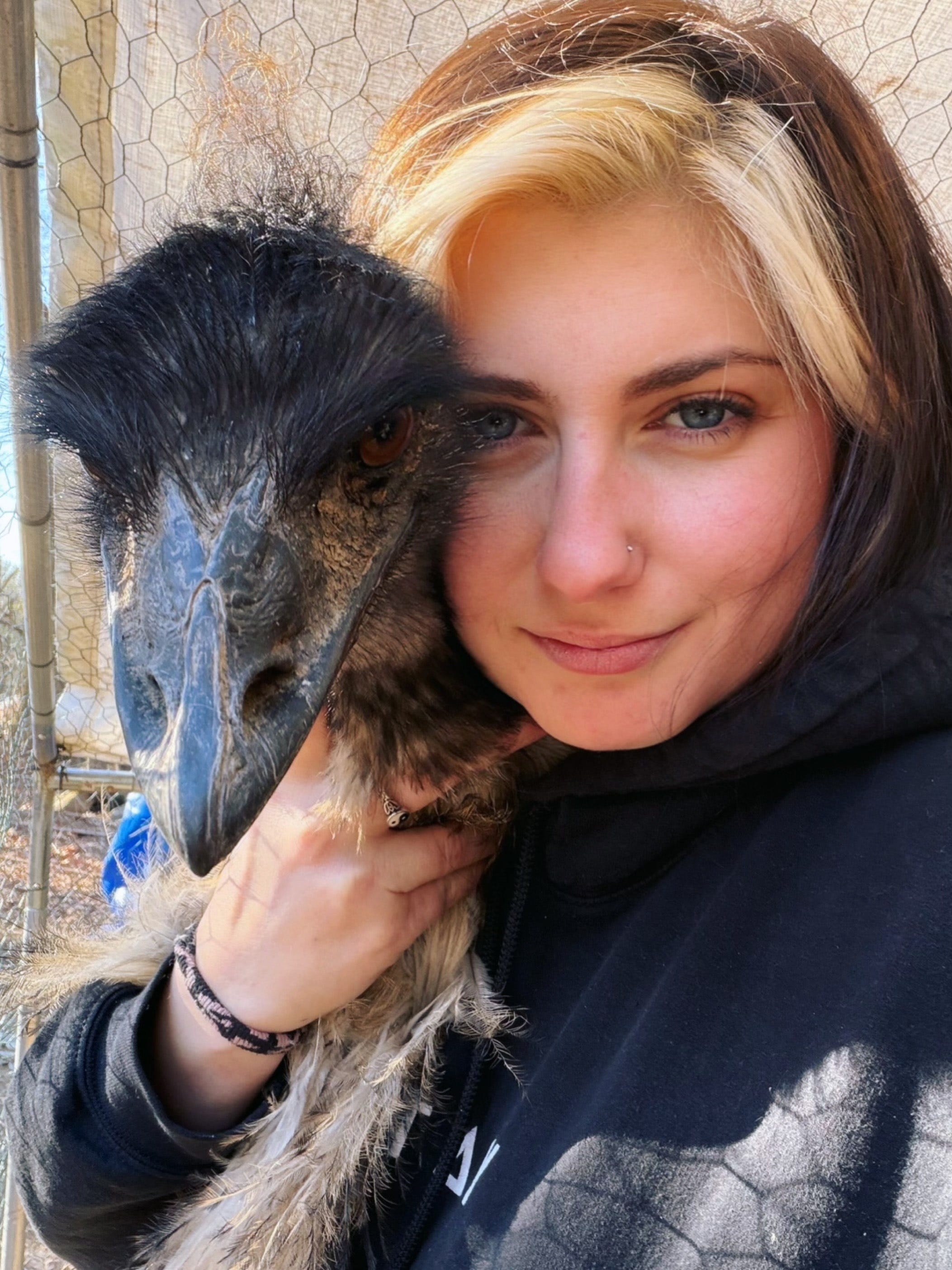 Bert & Ernie emus flew their coop in Windsor Twp. Both now captured