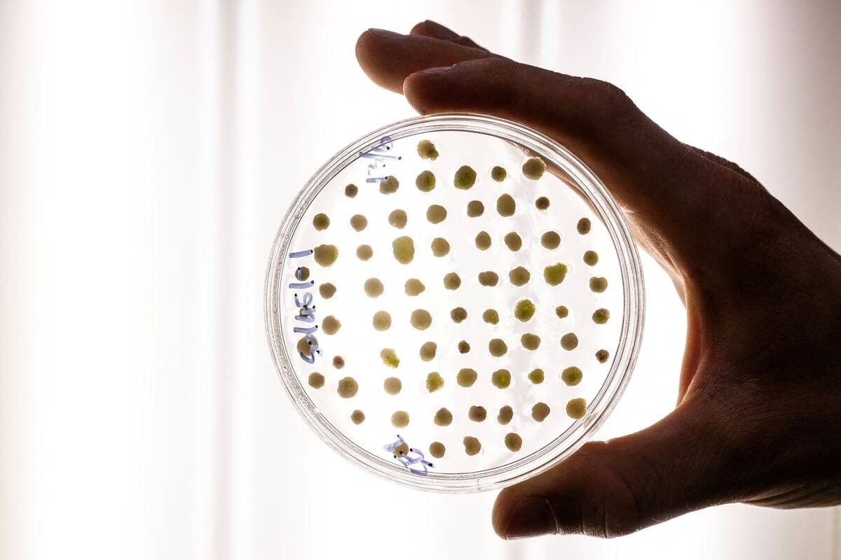 The unseen microorganisms shaping your indoor spaces