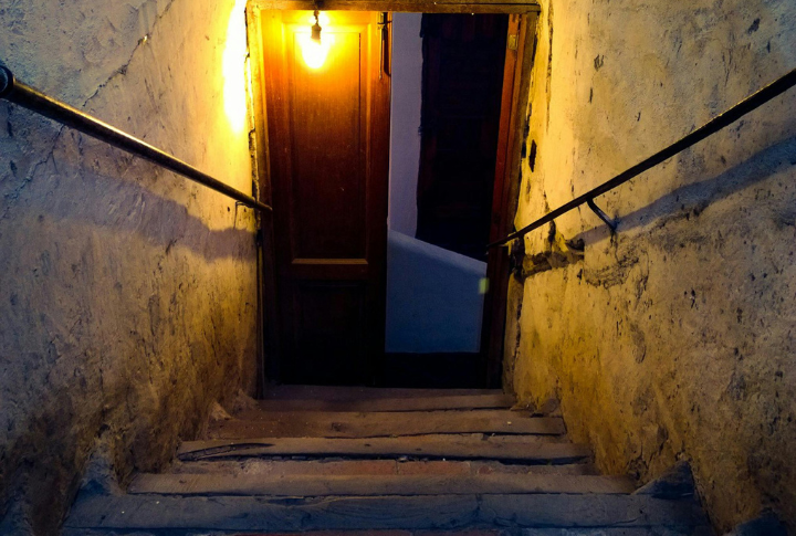 15 places snakes might be lurking in your house
