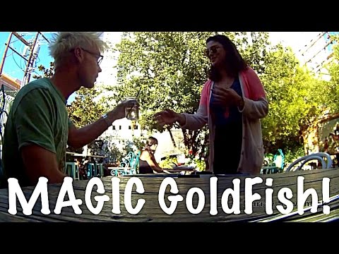 I pranked my waitress with magic and the whole restaurant watched