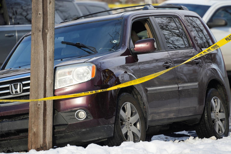 37-year-old woman fatally shot by ICE officer in Minneapolis identified