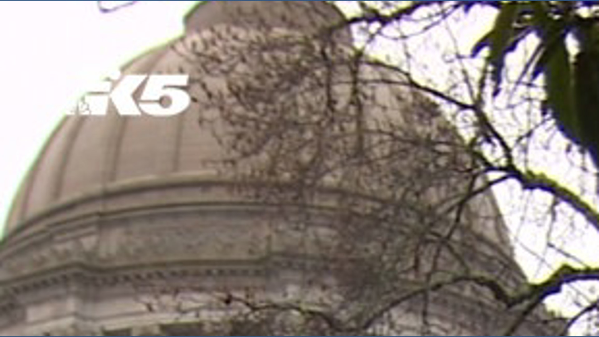 Washington Democrats pushing for mid-decade redistricting