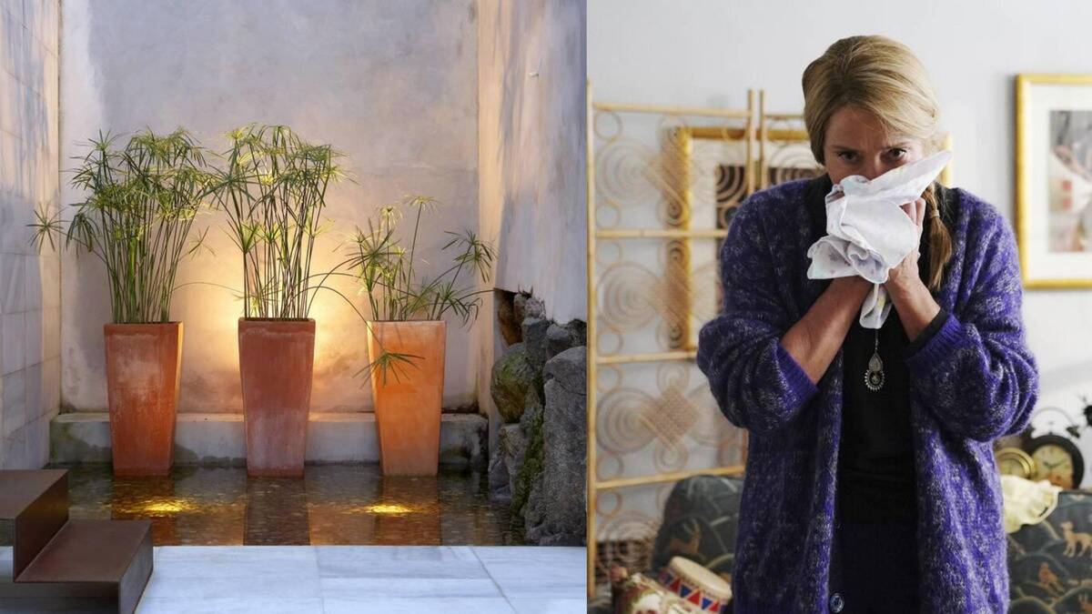 The unseen microorganisms shaping your indoor spaces