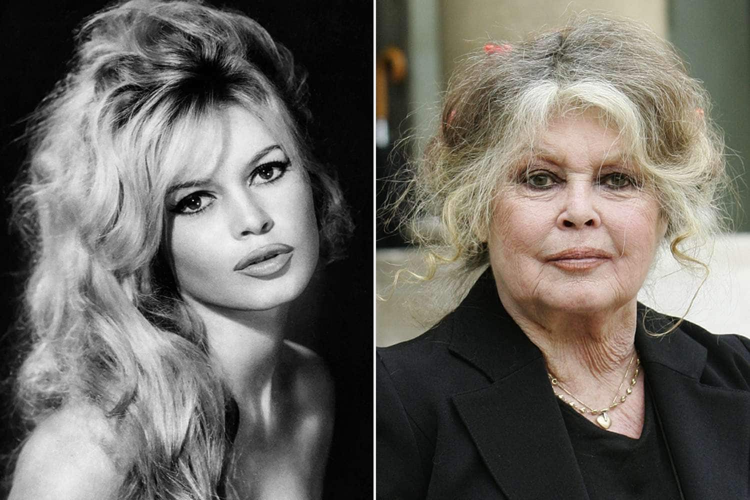 Brigitte Bardot cause of death at 91 revealed: Oncologist explains ...