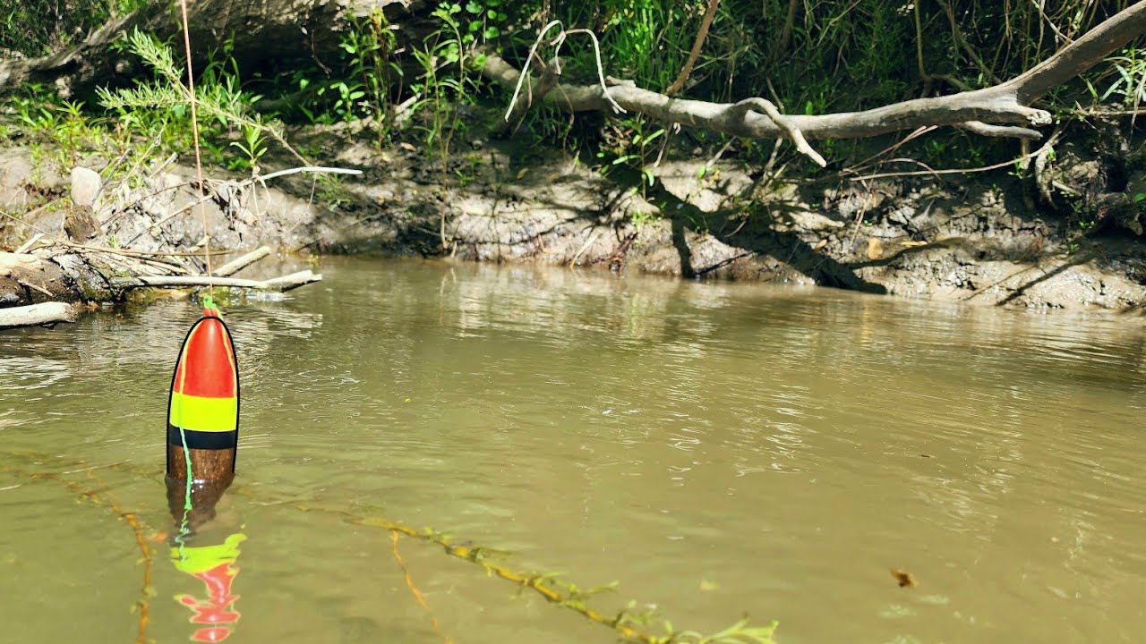 Bobber fishing for my lunch! (Foraging & catch/cook)