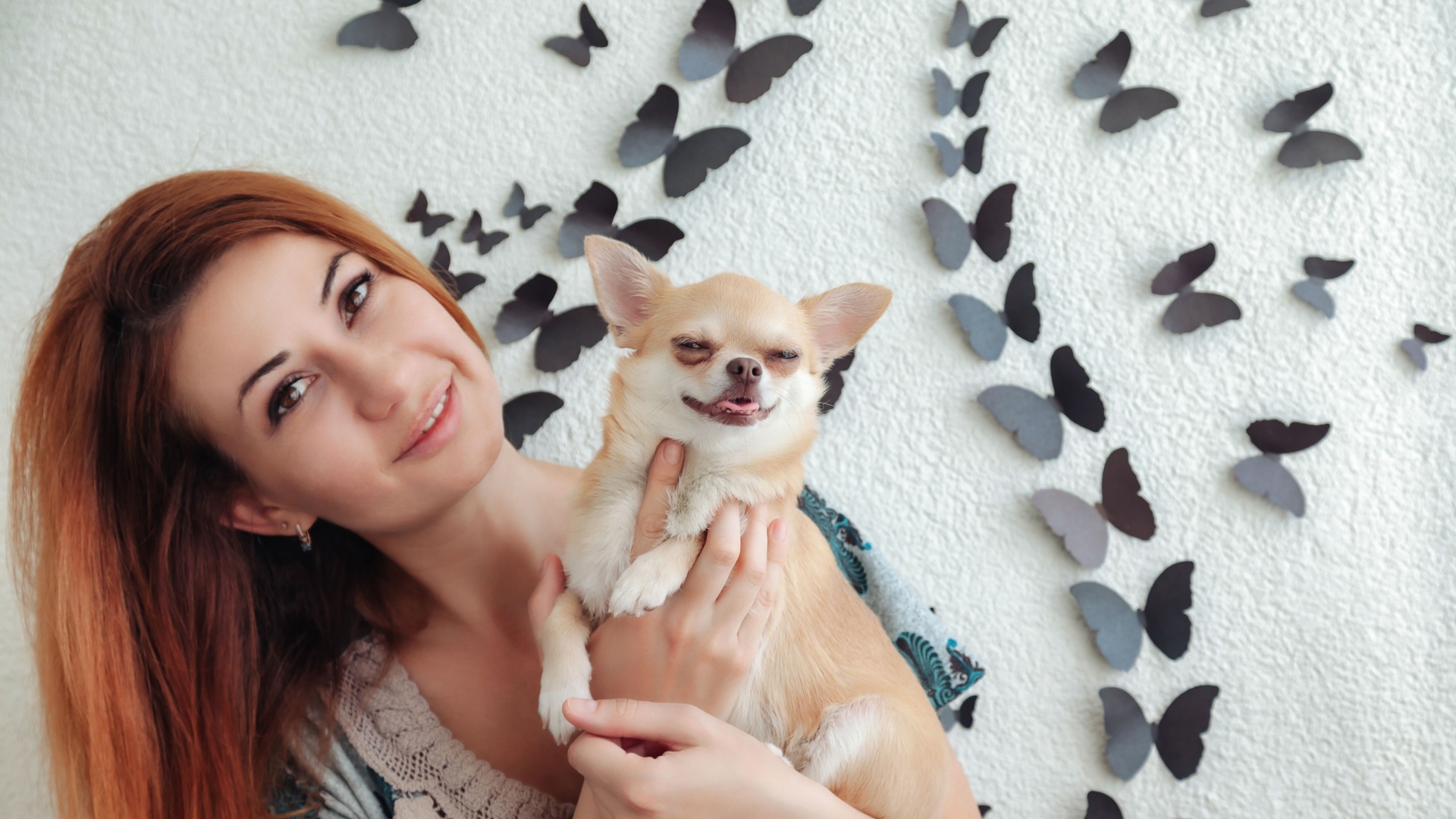 11 of the best dog breeds for single people