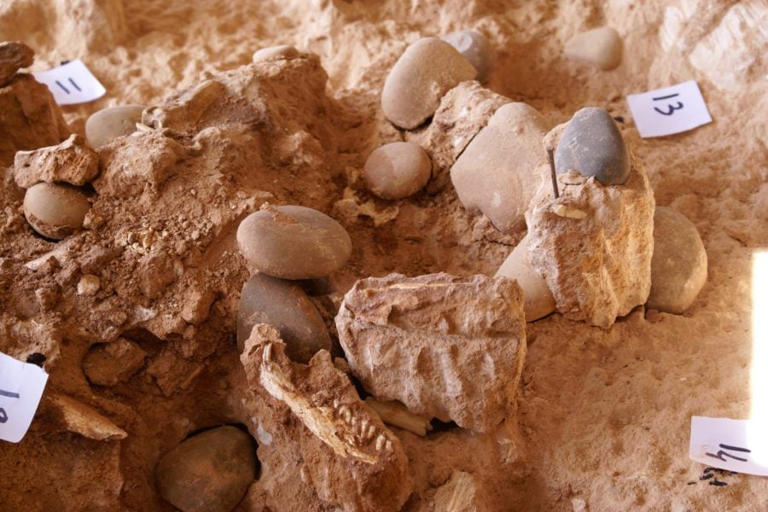 Casablanca révèle de nouvelles traces de restes d'humains fossilisés