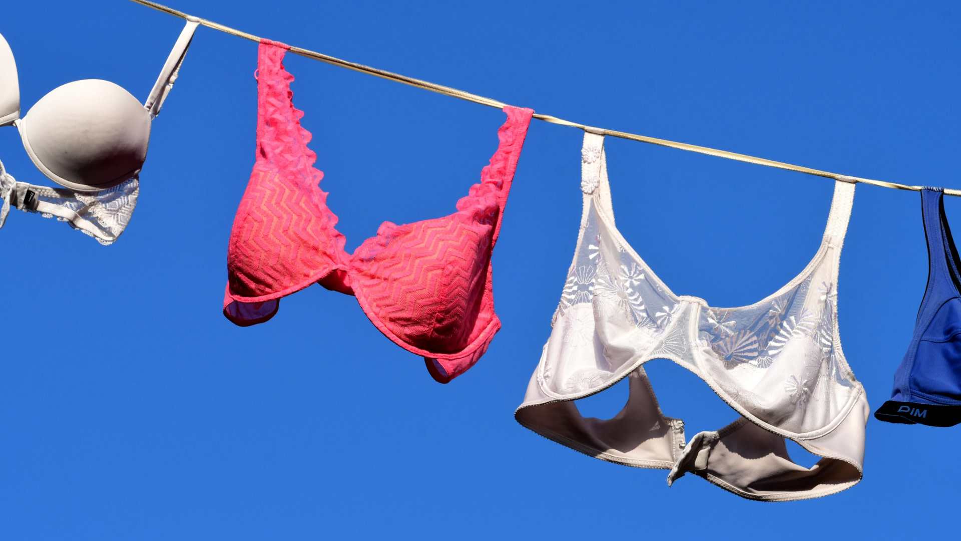 Florida man arrested in 'highly unusual' case: 'A lace bra, a G-string ...