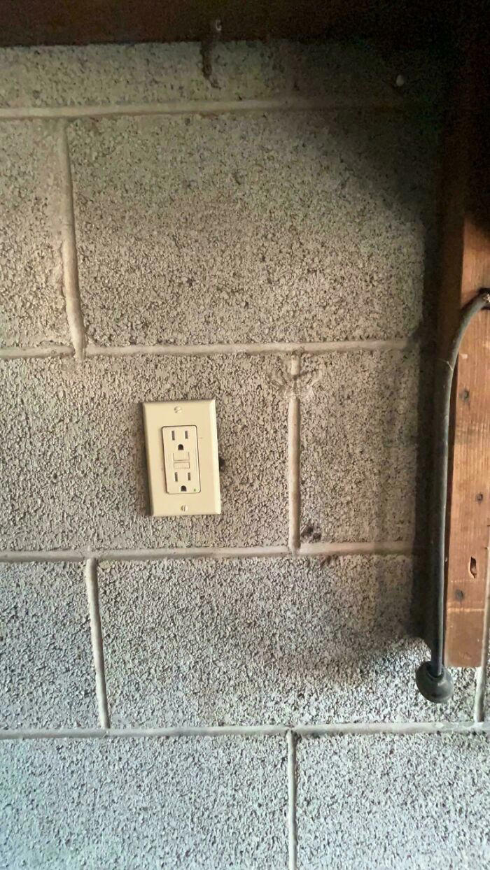 When you see it: 28 perfectly camouflaged things that take ages to find