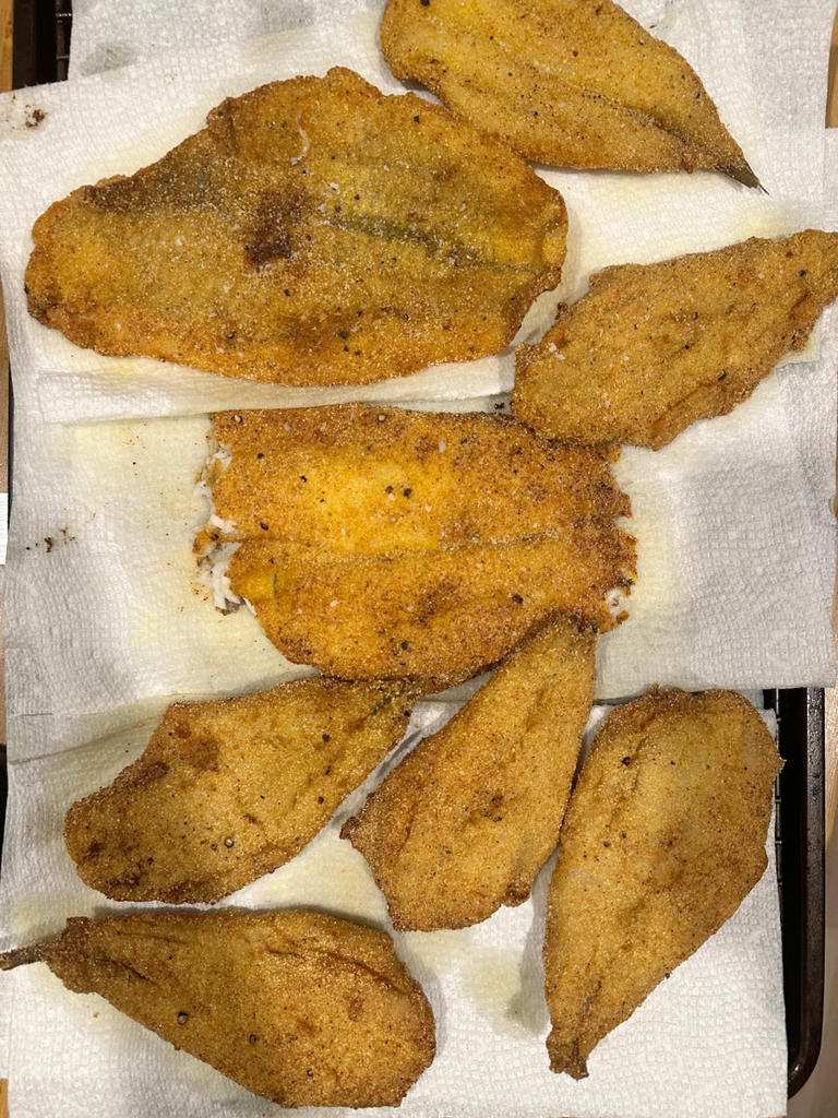 I spent 15 years perfecting my fried fish seasoning—here's the secret