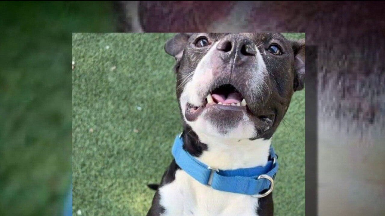 Man convicted in case behind 'Dexter's law' back in court