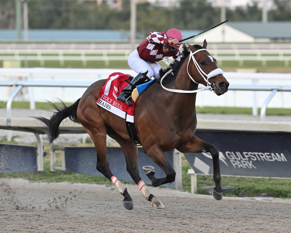 Grade 3 winner Hades returns to Florida-bred company in Sunshine Classic