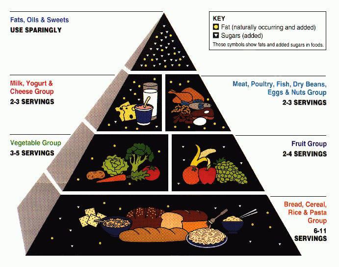 No sugar, more fat: RFK Jr's new dietary guidelines include 5 big ...