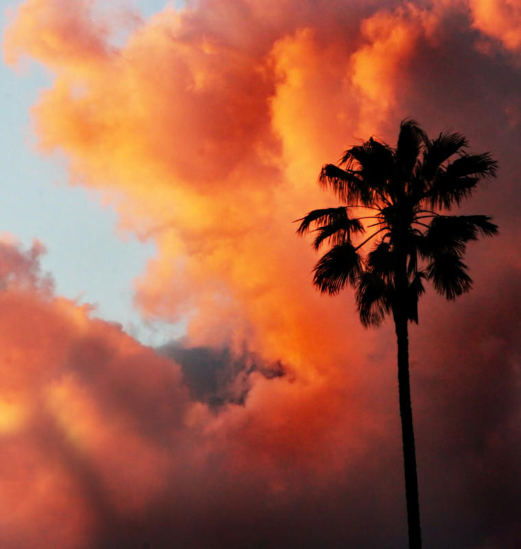 Mandy Moore shares emotional update 1 year after losing her home in LA fire