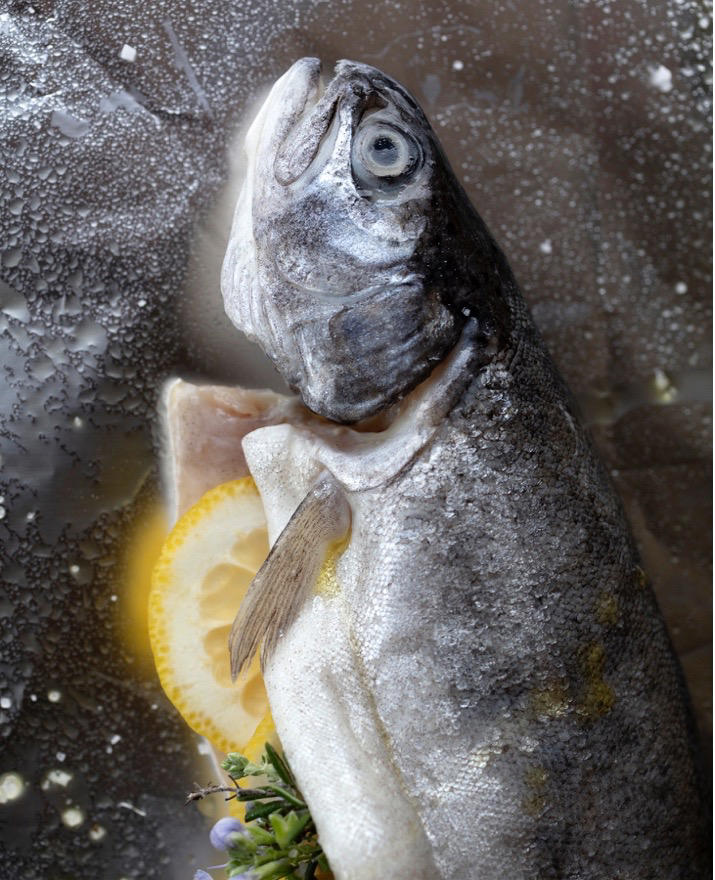 Campfire grilled trout